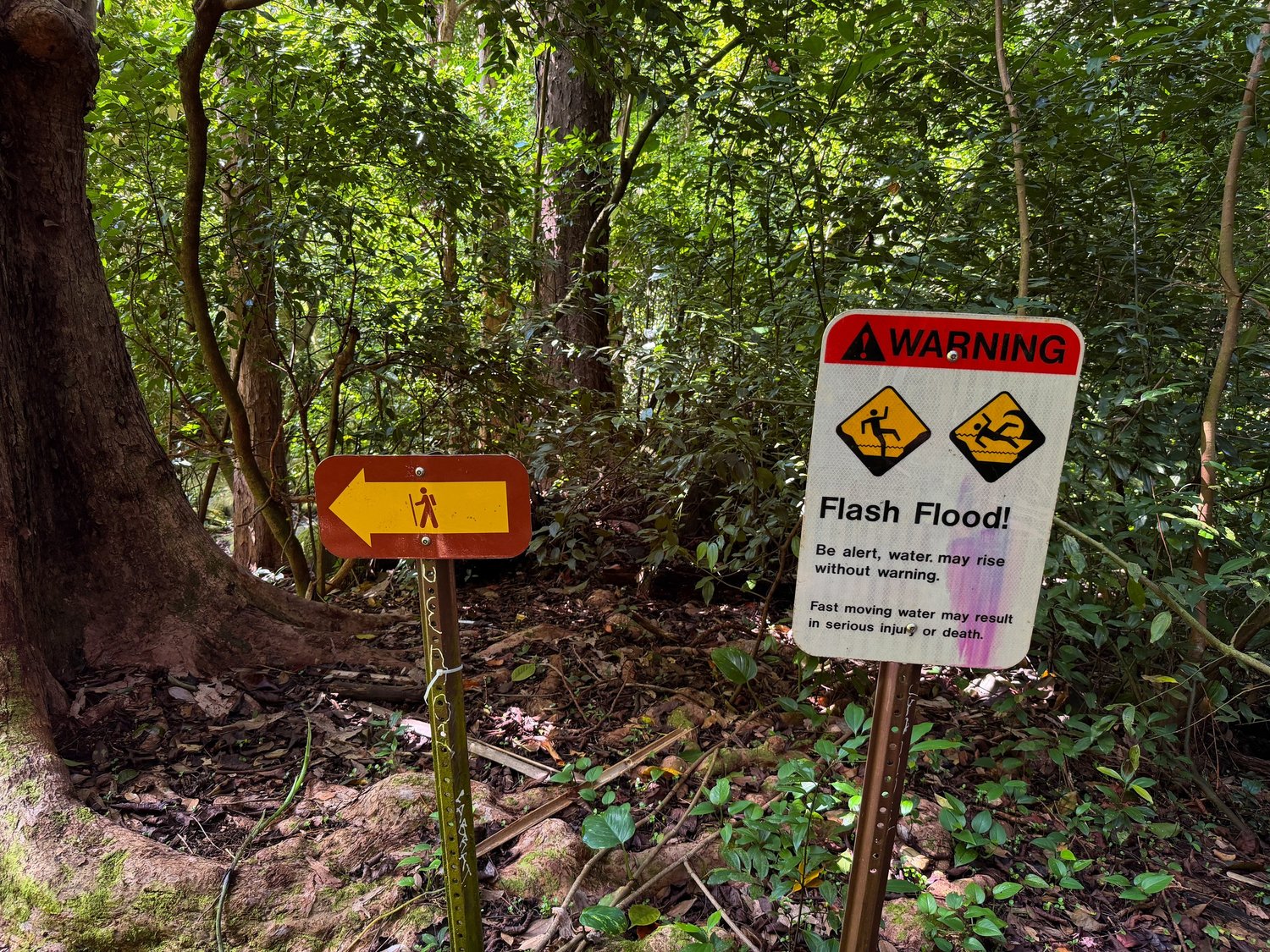 Hiking the Judd Trail & Jackass Ginger Pool on Oʻahu, Hawaiʻi — noahawaii