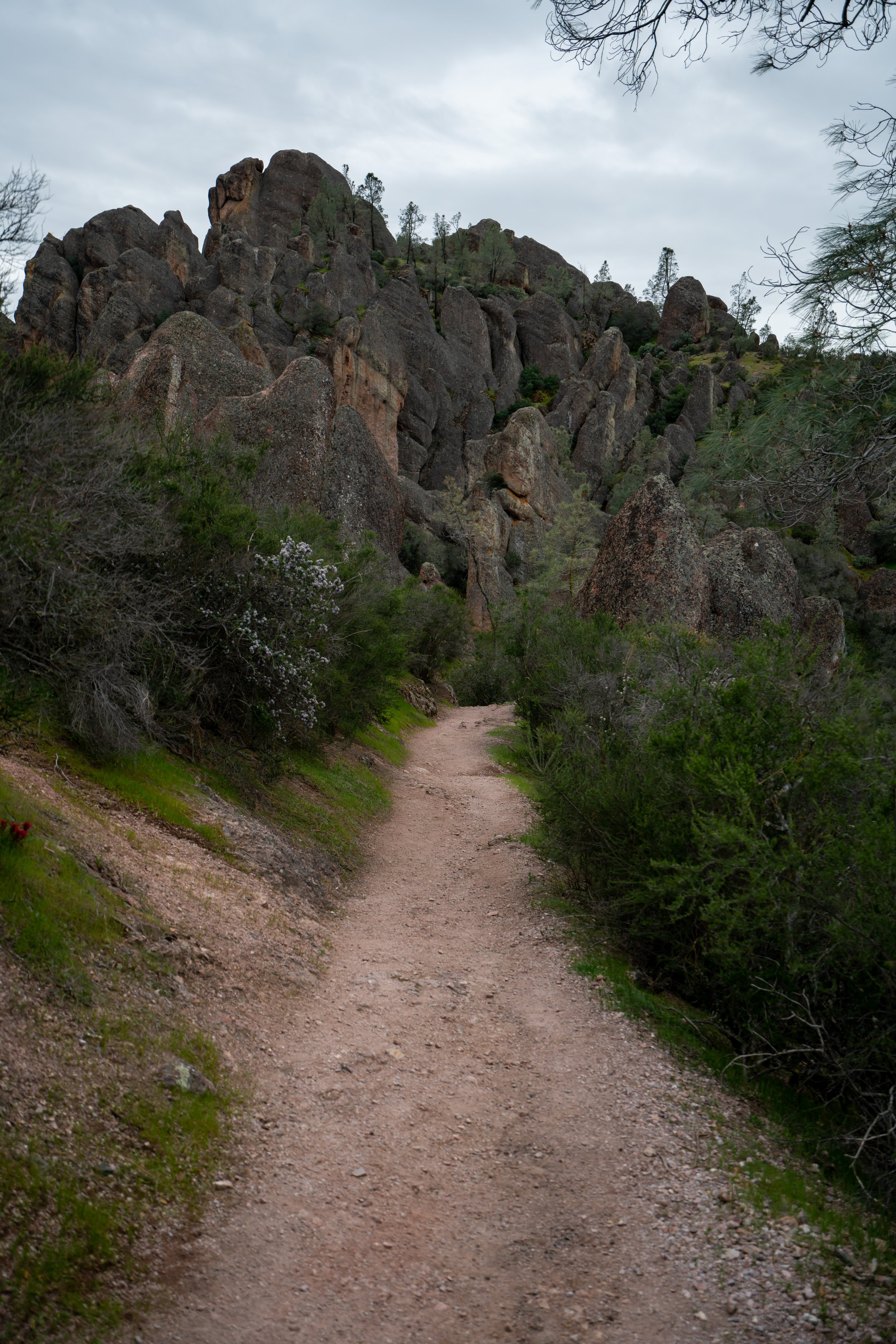 Best Loop Hikes in Pinnacles National Park — noahawaii