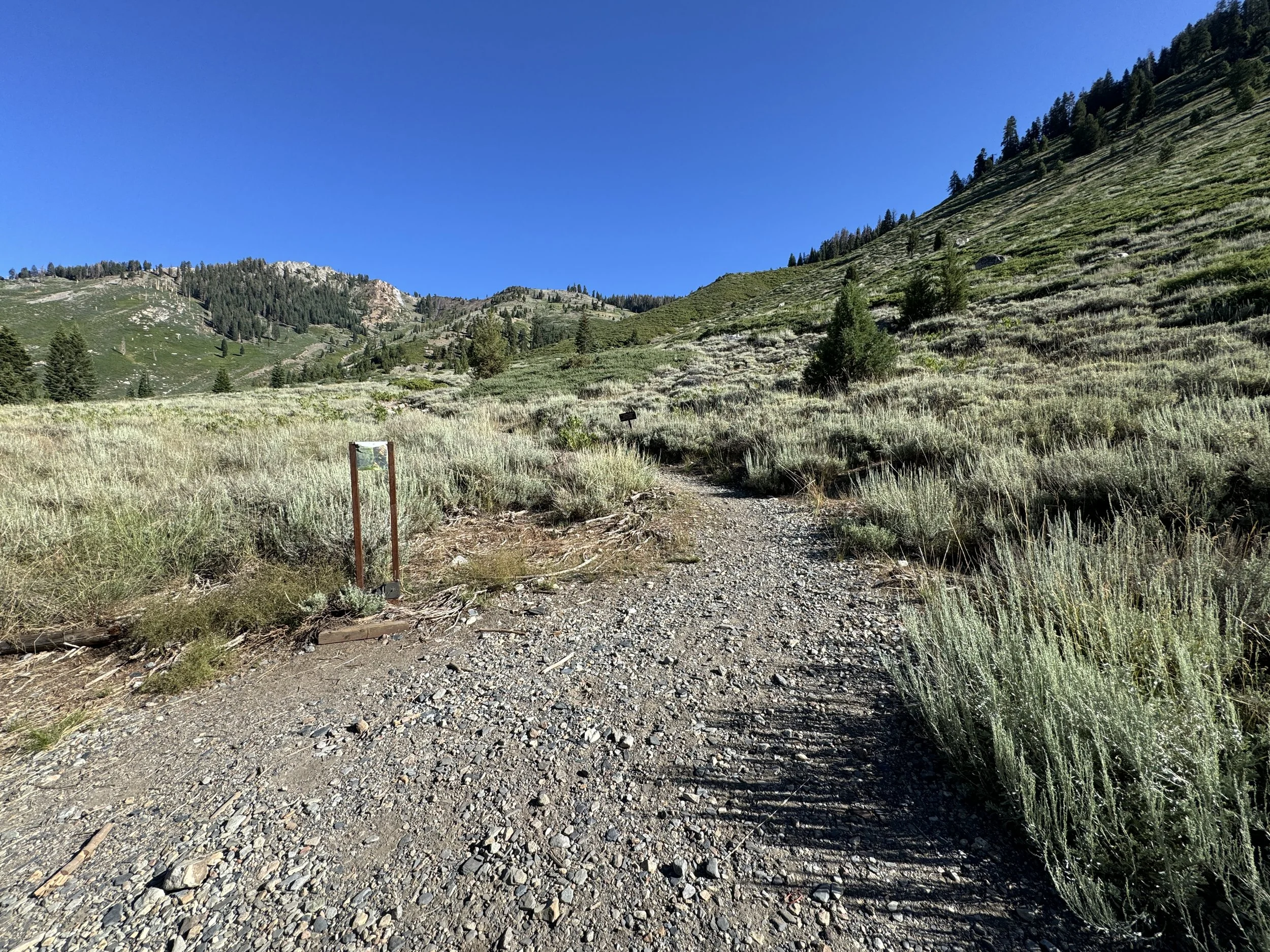 Hiking the Mineral King Loop Trail in Sequoia National Park — noahawaii