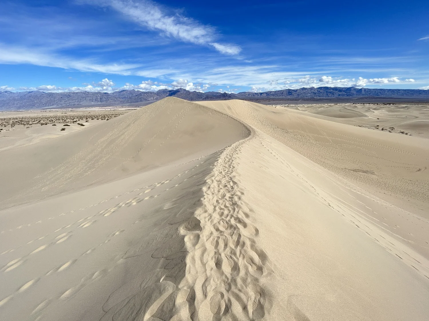 Hiking the Mesquite Flat Sand Dunes Trail (The High Dune) in Death ...