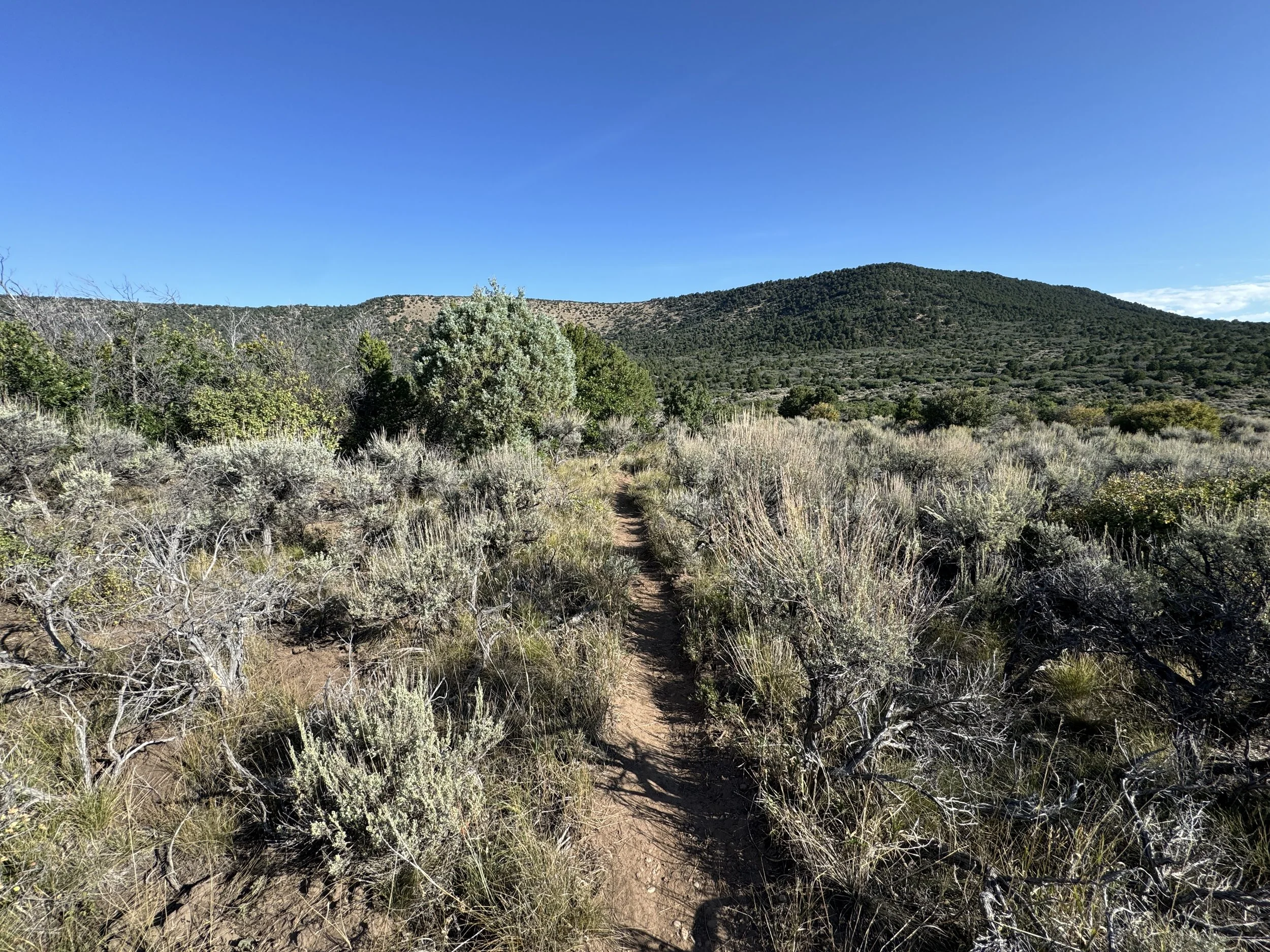 Hiking the Pinyon Draw Trail (S.O.B. Draw) in Black Canyon of the ...