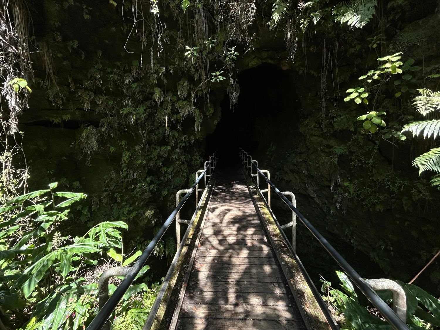 Hiking the Nāhuku (Thurston Lava Tube) Trail in Hawaiʻi Volcanoes ...