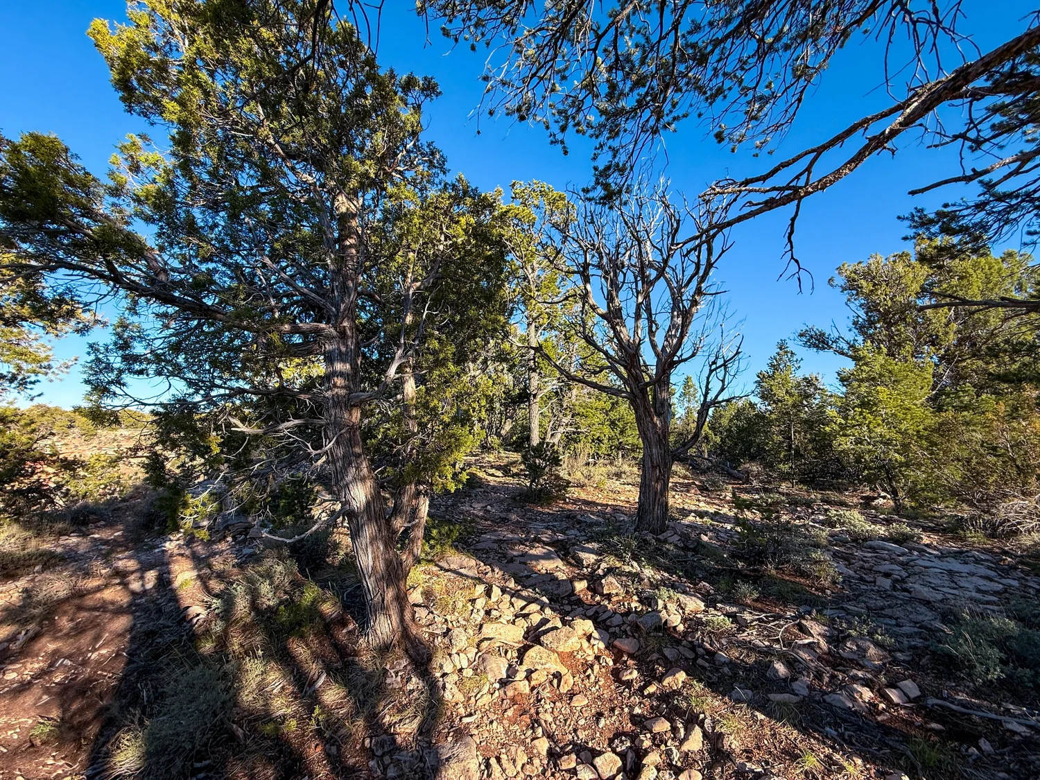 Hiking the Duck on a Rock Trail in Grand Canyon National Park — noahawaii