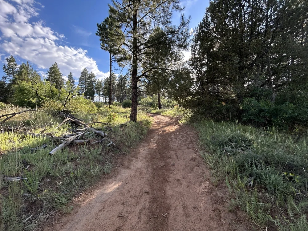 Hiking the East Mesa Trail to Observation Point in Zion National Park ...