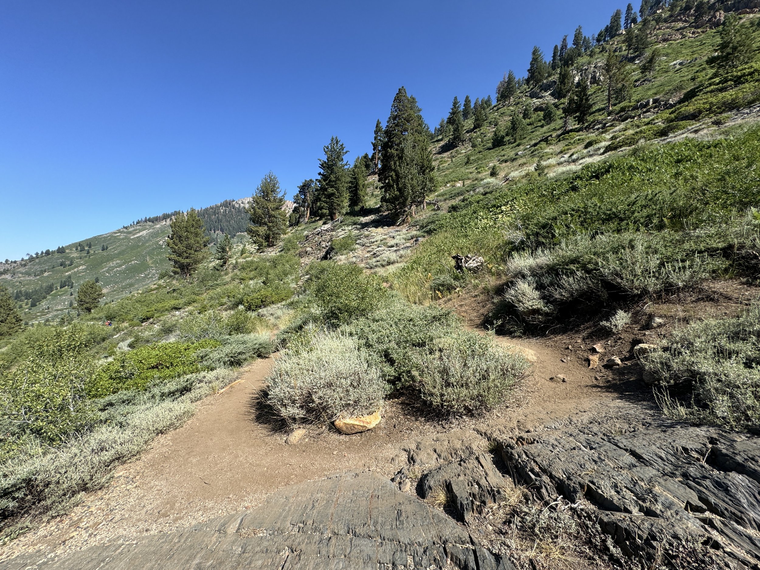 Hiking the Mineral King Loop Trail in Sequoia National Park — noahawaii