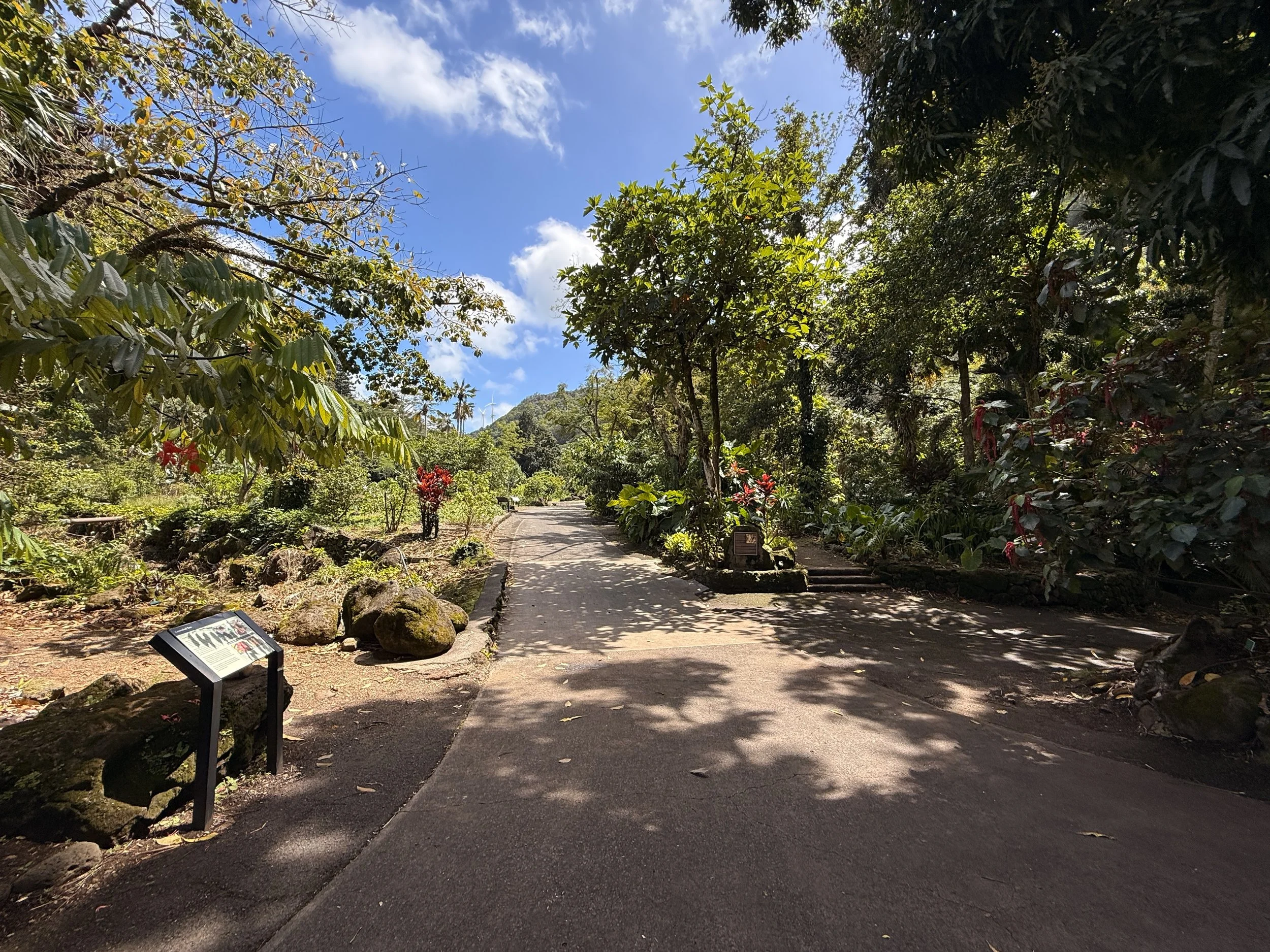 Hiking the Waimea Valley Trail on the North Shore of Oʻahu, Hawaiʻi ...
