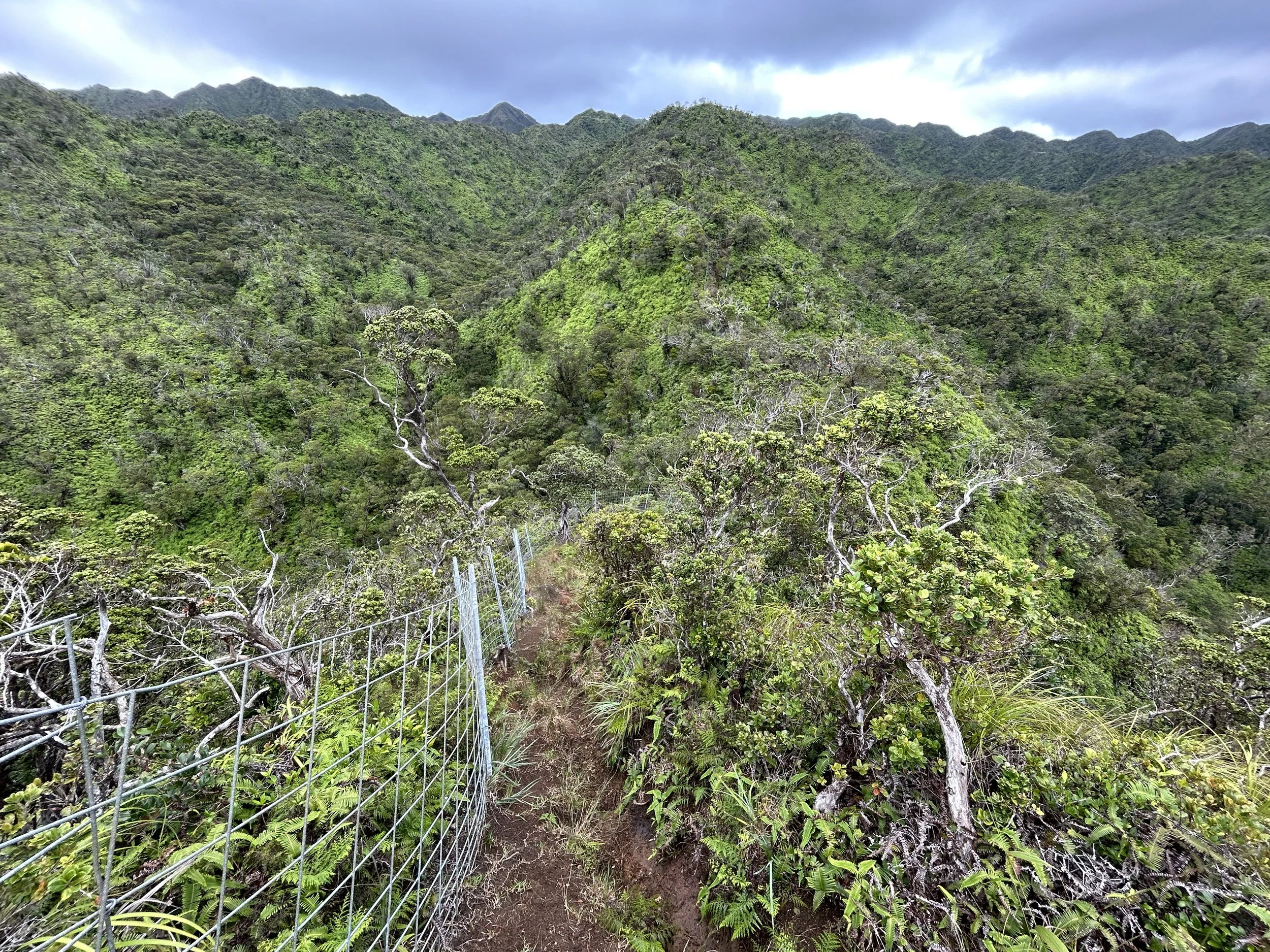 Hiking the Mānana Ridge Trail on Oʻahu — noahawaii