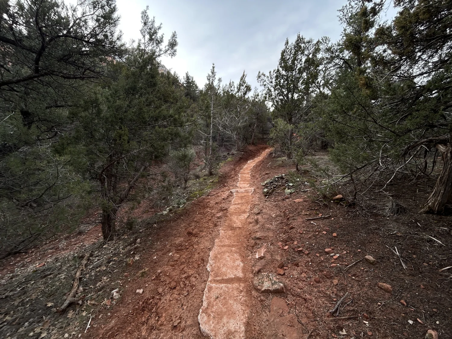 Hiking the Sand Bench Trail in Zion National Park — noahawaii