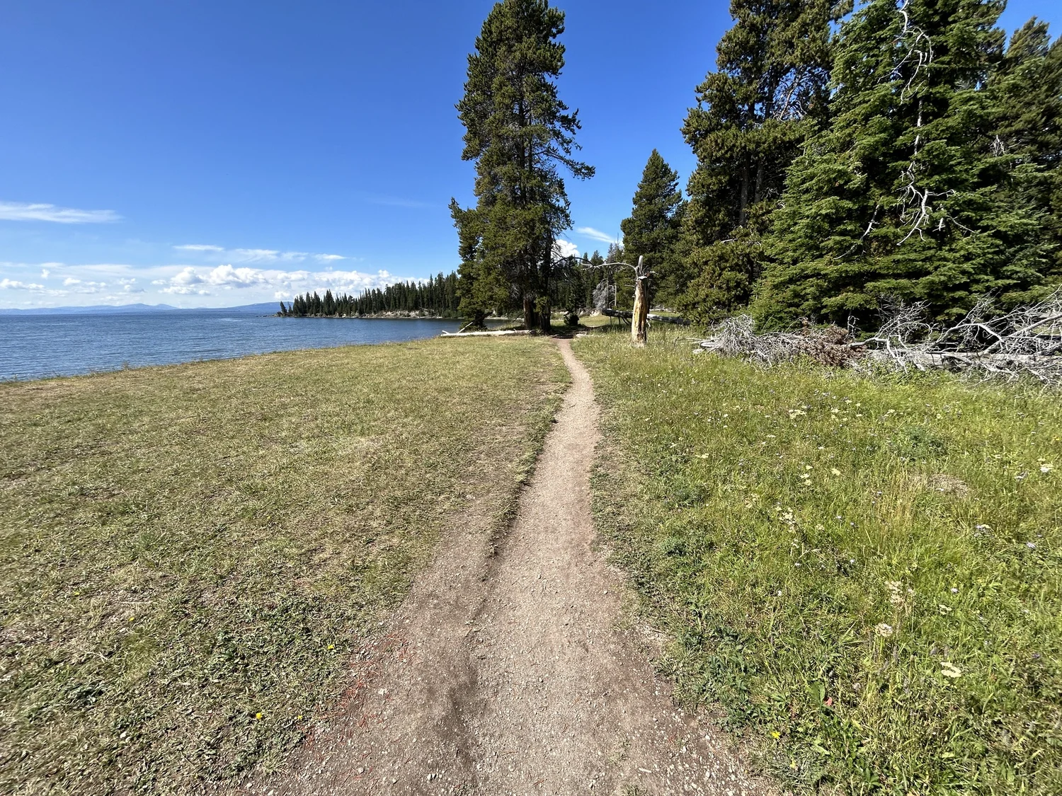 Hiking the Storm Point Trail in Yellowstone National Park — noahawaii