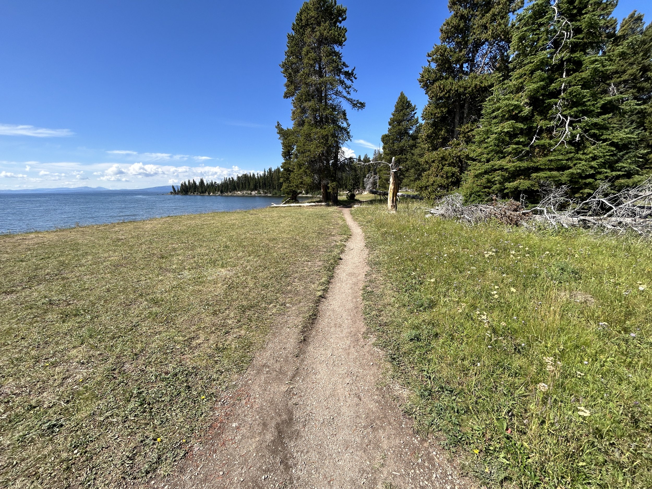 Hiking the Storm Point Trail in Yellowstone National Park — noahawaii