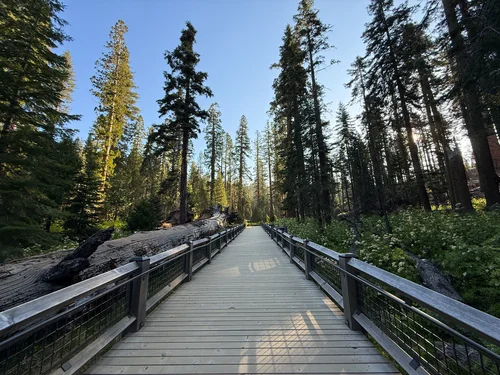 Hiking the Grizzly Giant Loop Trail in Yosemite National Park — noahawaii