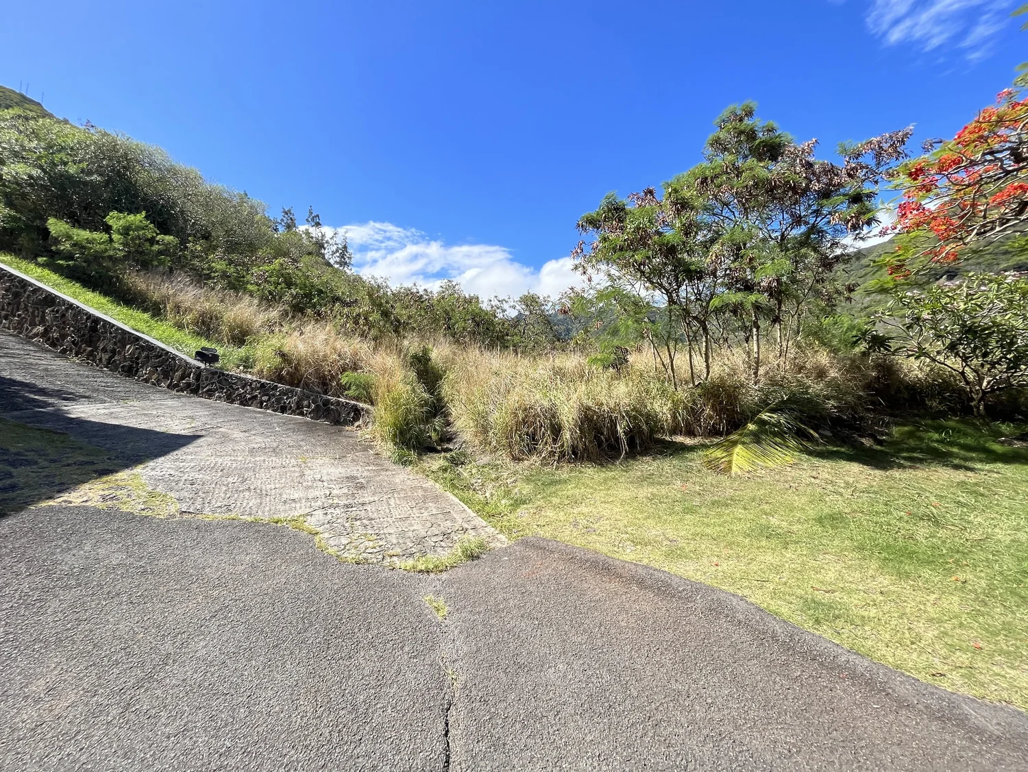 Hiking the Wailupe Loop Trail on Oʻahu — noahawaii