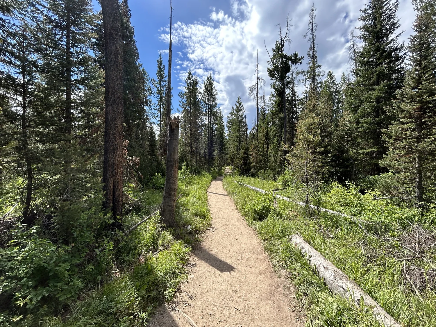 Hiking the Delta Lake Trail via Lupine Meadows in Grand Teton National ...