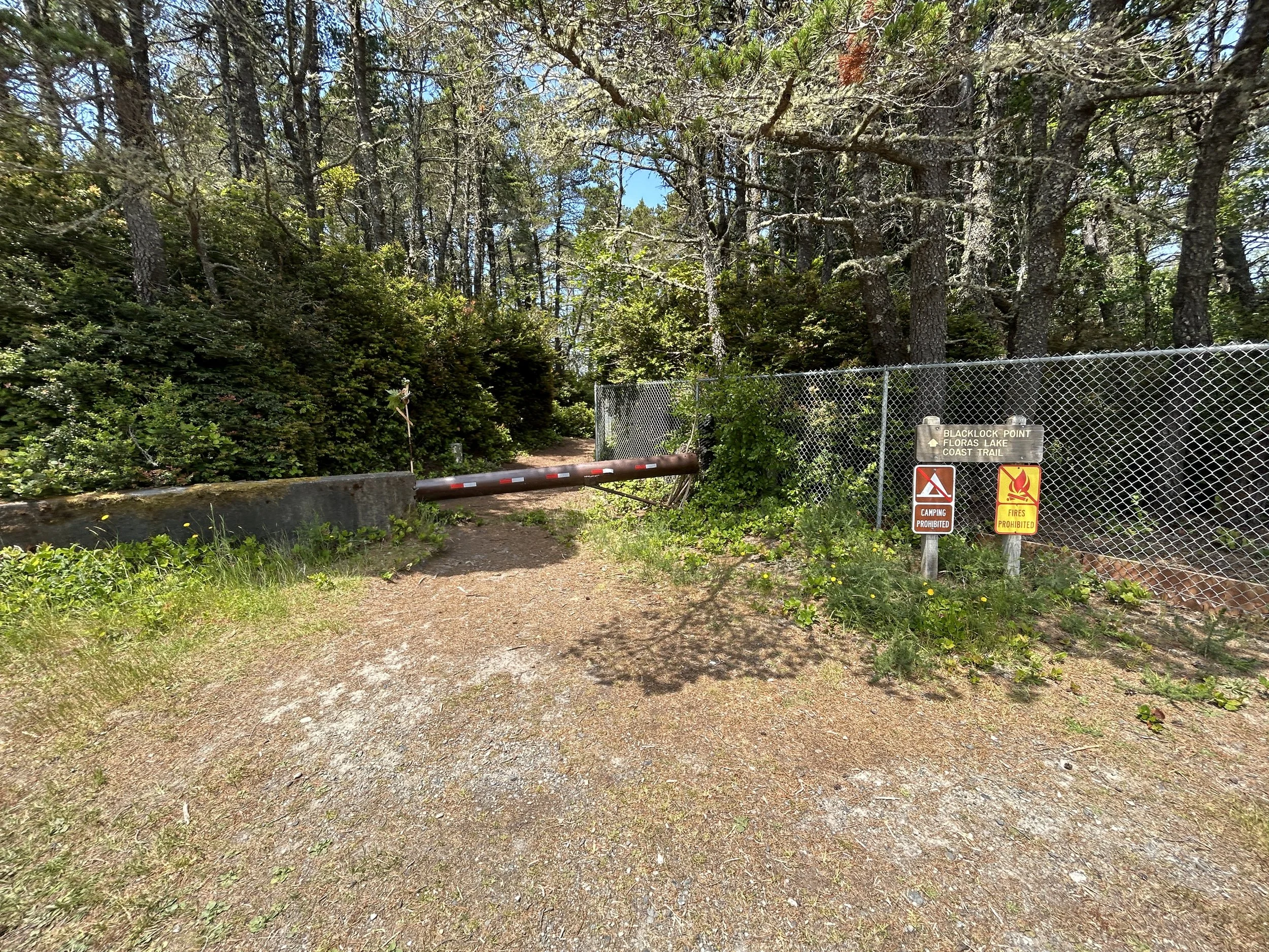 Hiking the Blacklock Point Sea Cliffs Trail on the Oregon Coast — noahawaii