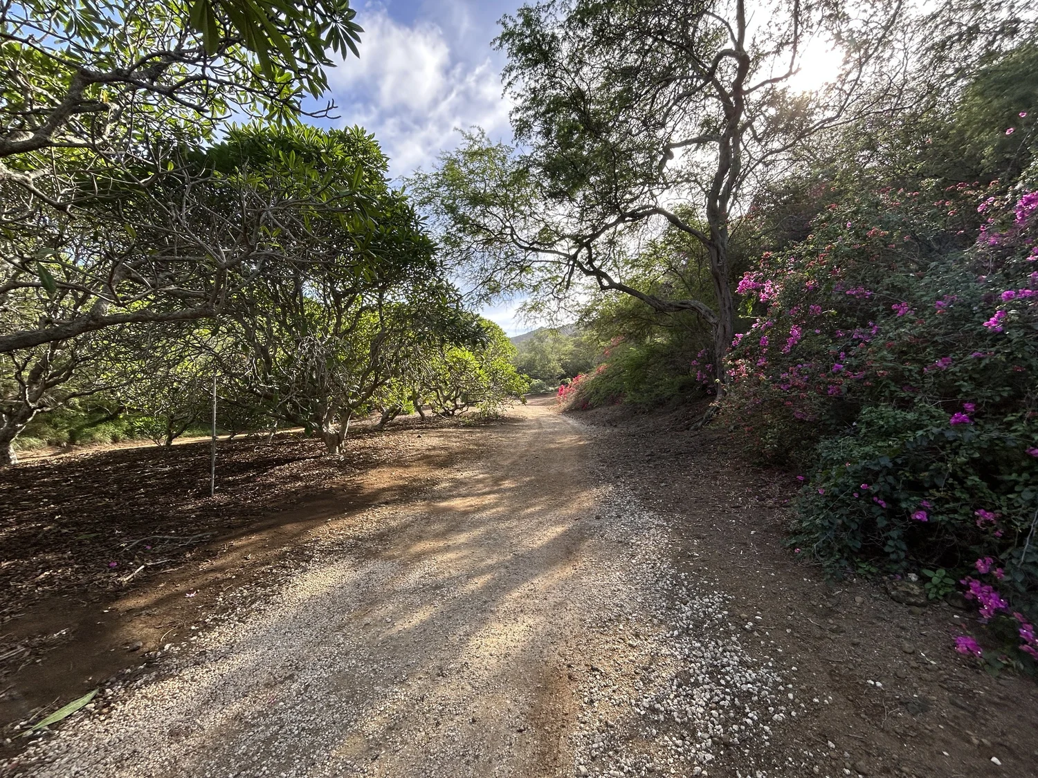 Hiking the Koko Crater Botanical Garden Loop Trail on Oʻahu, Hawaiʻi ...