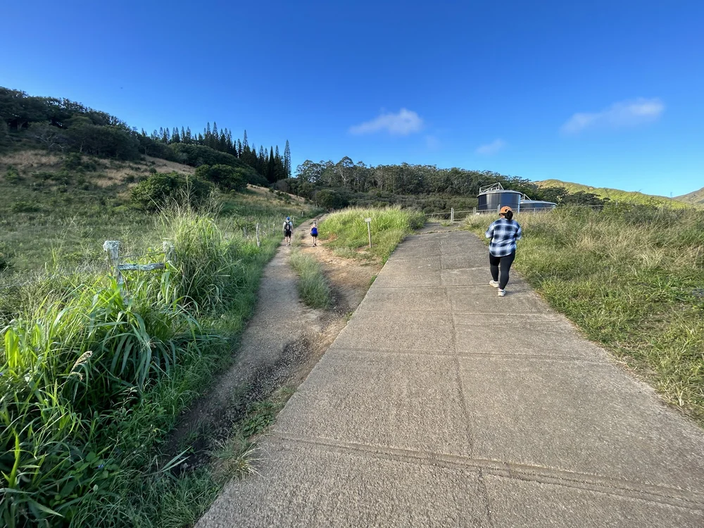 Hiking the Waiheʻe Ridge Trail on Maui — noahawaii
