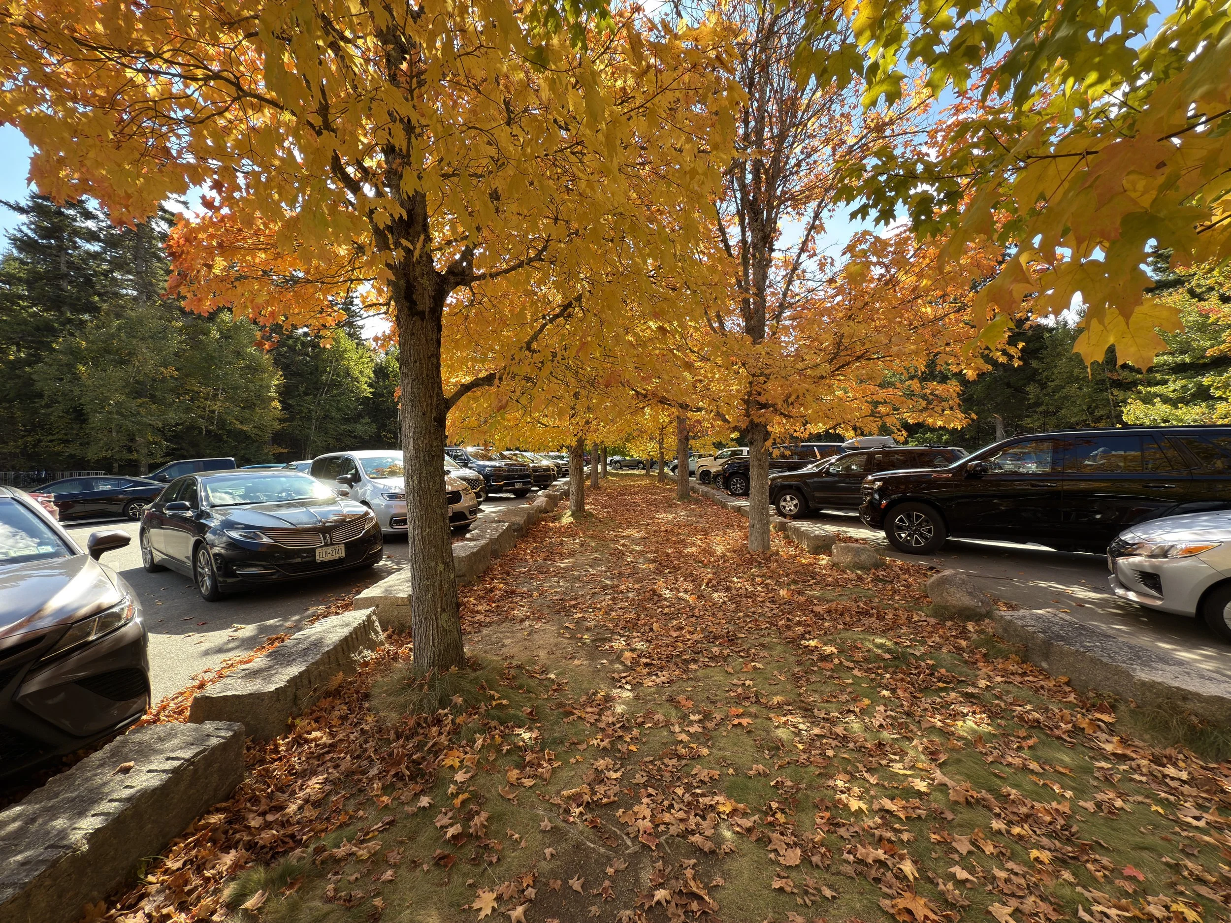 Hiking the Jordan Pond Path in Acadia National Park — noahawaii
