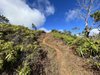 Hiking the Mauʻumae Ridge Trail to Puʻu Lanipō on Oʻahu, Hawaiʻi ...
