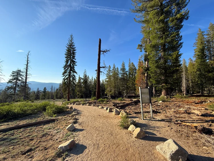 Hiking the Sentinel Dome Trail in Yosemite National Park — noahawaii