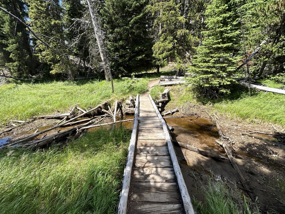 Hiking the Storm Point Trail in Yellowstone National Park — noahawaii