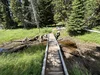 Hiking the Storm Point Trail in Yellowstone National Park — noahawaii