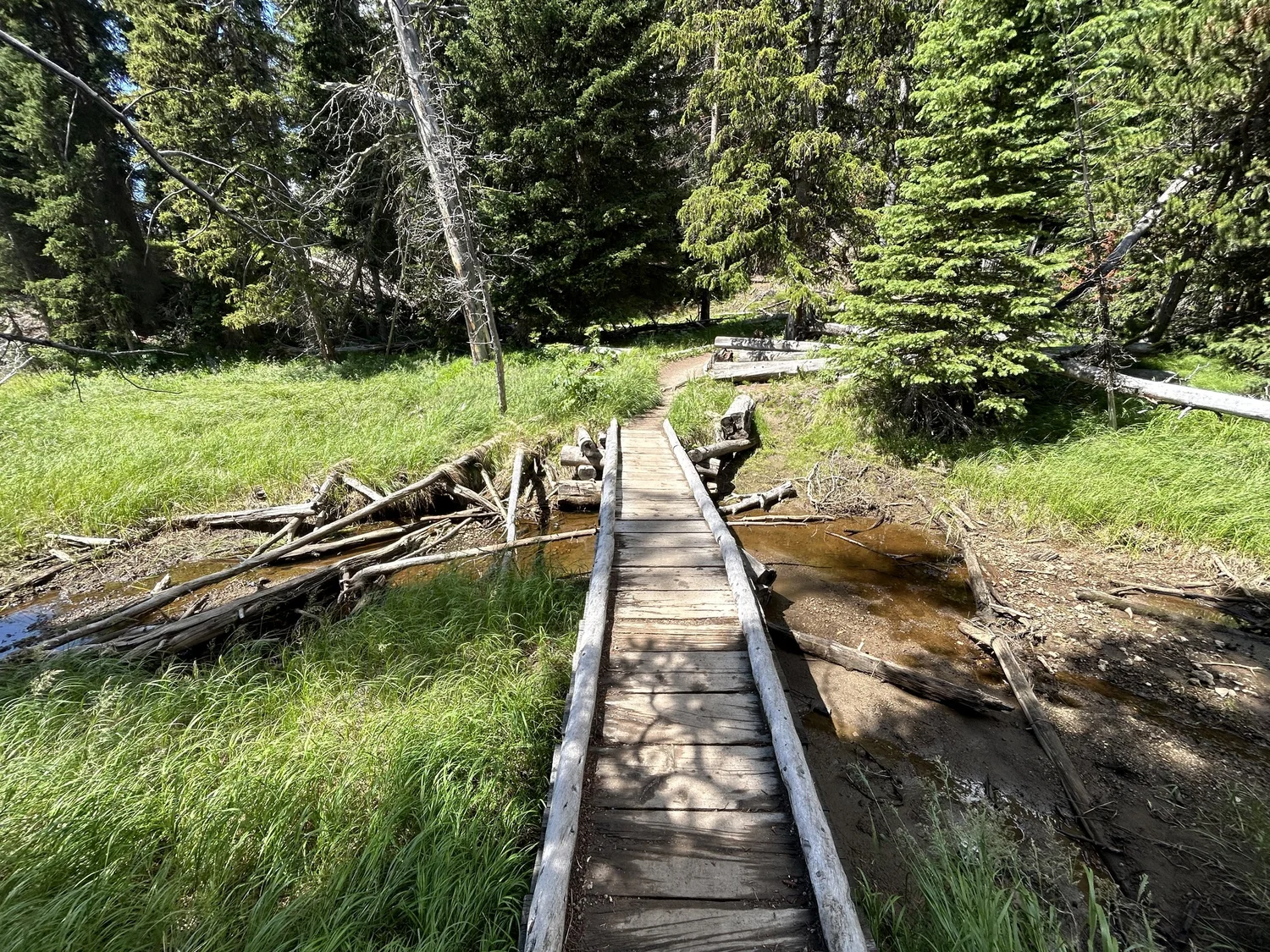Hiking the Storm Point Trail in Yellowstone National Park — noahawaii