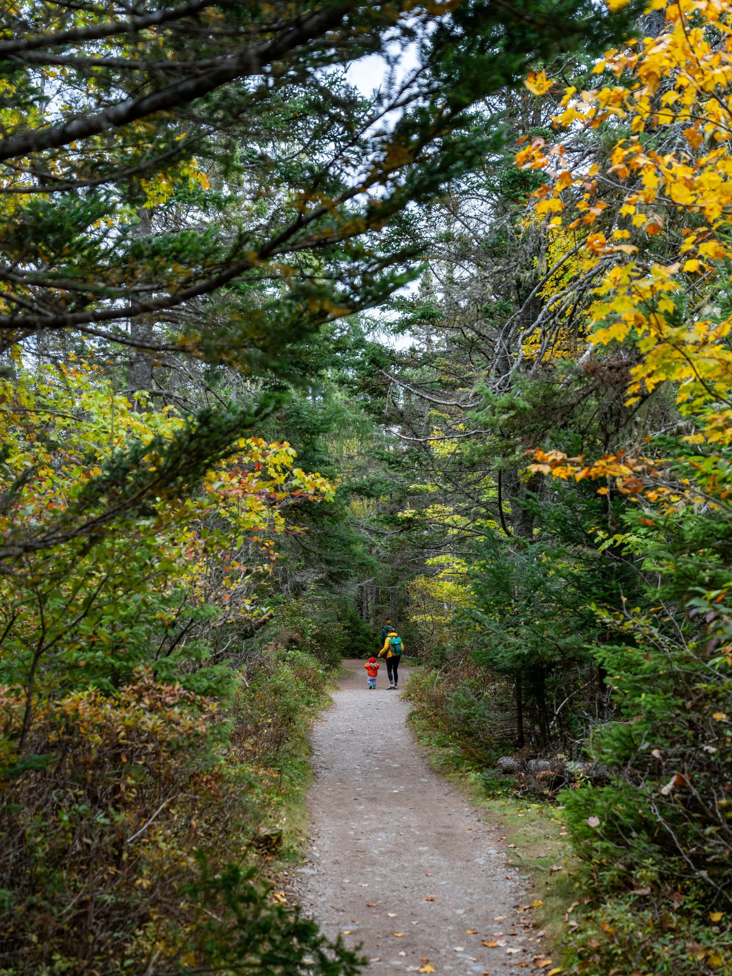 Hiking the Wonderland Trail in Acadia National Park — noahawaii