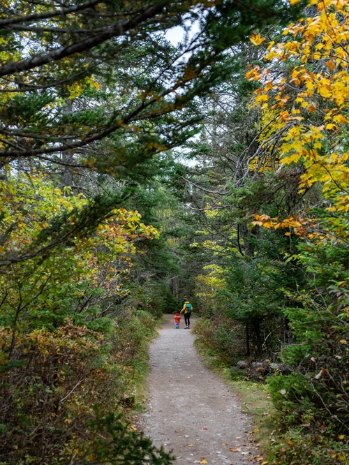Hiking the Wonderland Trail in Acadia National Park — noahawaii