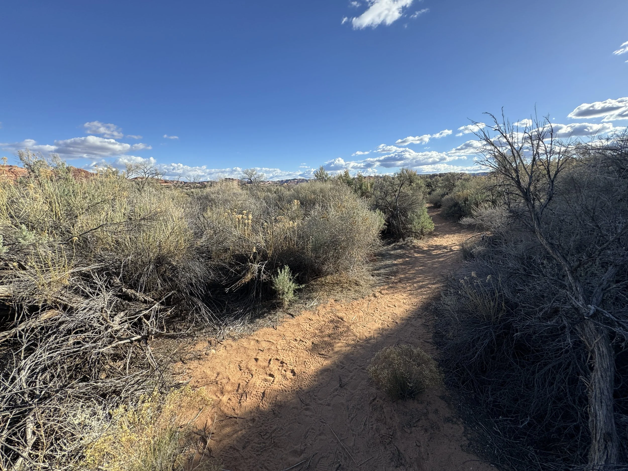 Hiking the Cave Spring Trail in Canyonlands National Park — noahawaii