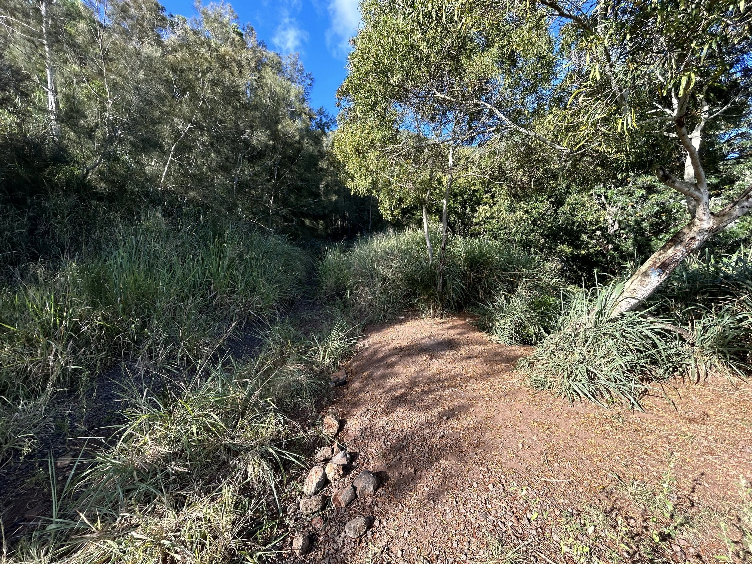 Hiking the Lualualei Lookout Trail on Oʻahu, Hawaiʻi — noahawaii