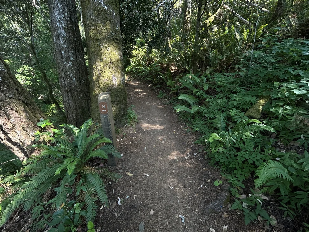 Hiking the Humbug Mountain Loop Trail on the Oregon Coast — noahawaii