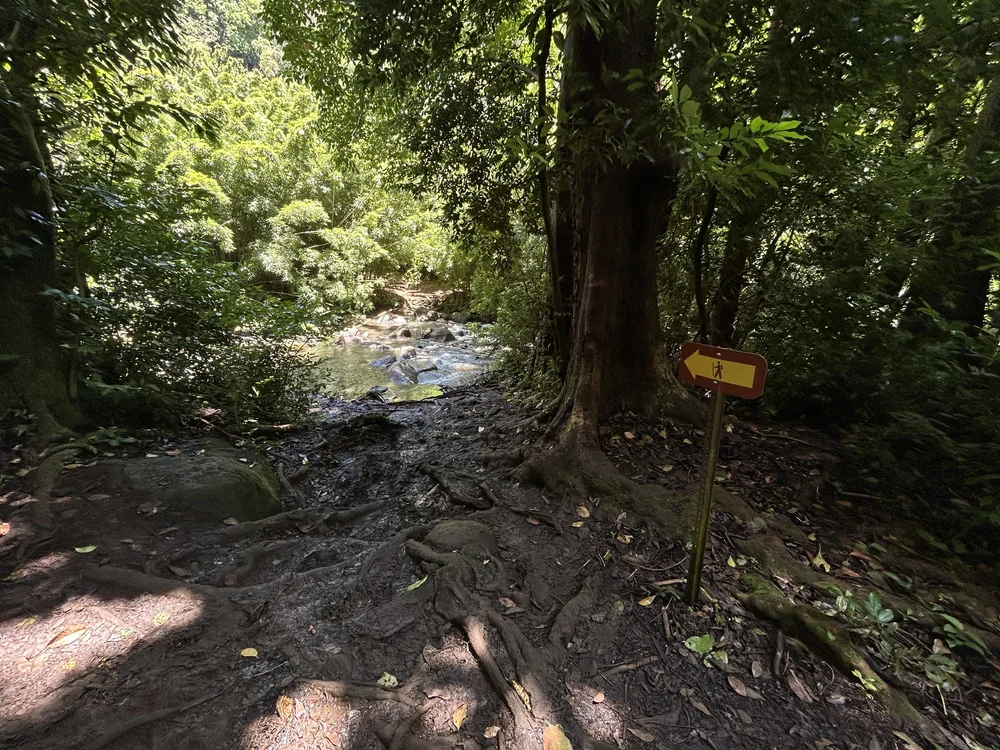 Hiking the Judd Trail & Jackass Ginger Pool on Oʻahu, Hawaiʻi — noahawaii