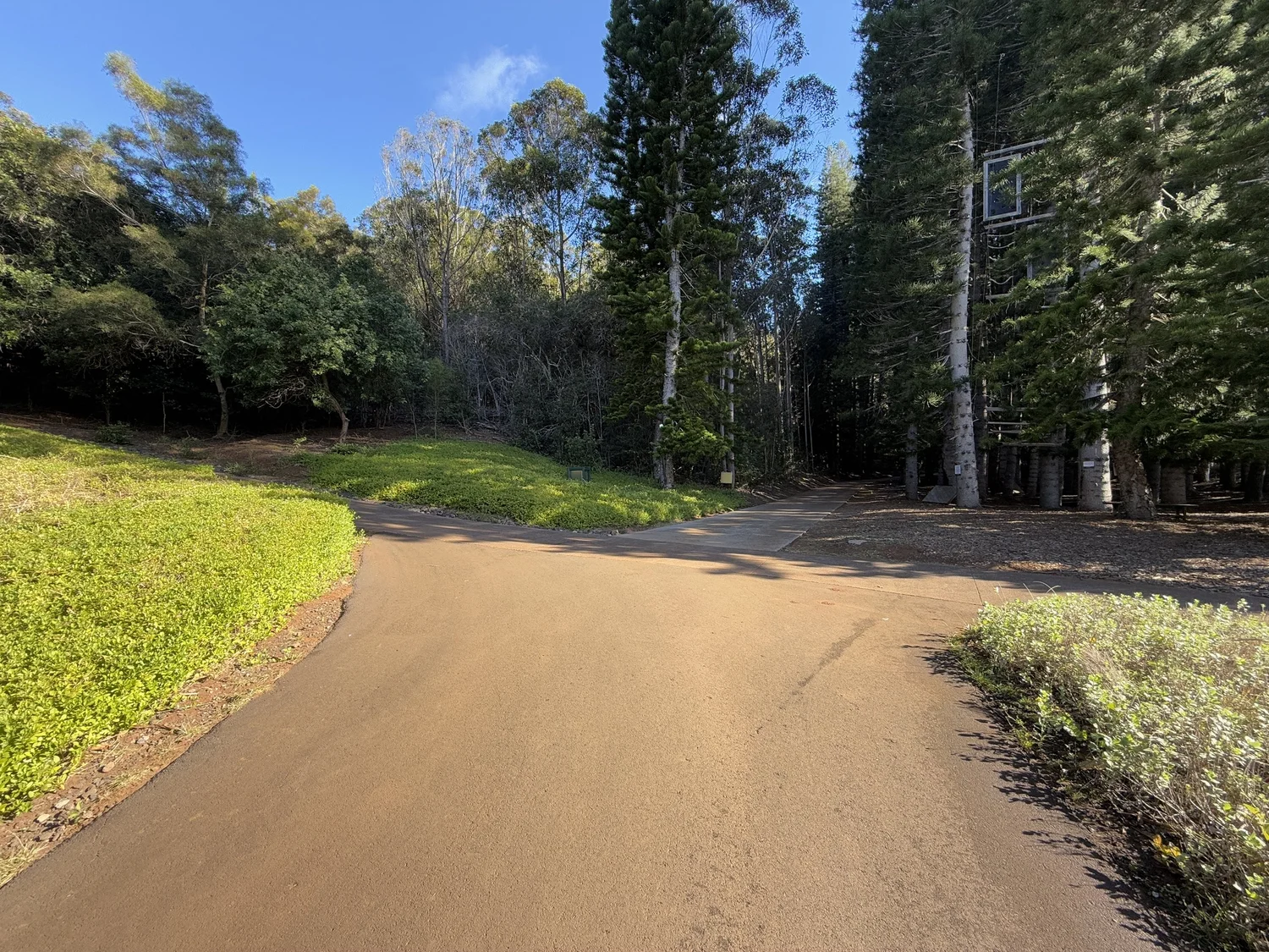 Hiking the Koloiki Ridge-Kaiholena Ridge Loop Trail on Lānaʻi, Hawaiʻi ...