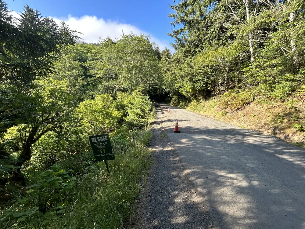 Hiking the Lower Cascade Head Trail on the Oregon Coast — noahawaii