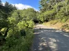 Hiking the Lower Cascade Head Trail on the Oregon Coast — noahawaii