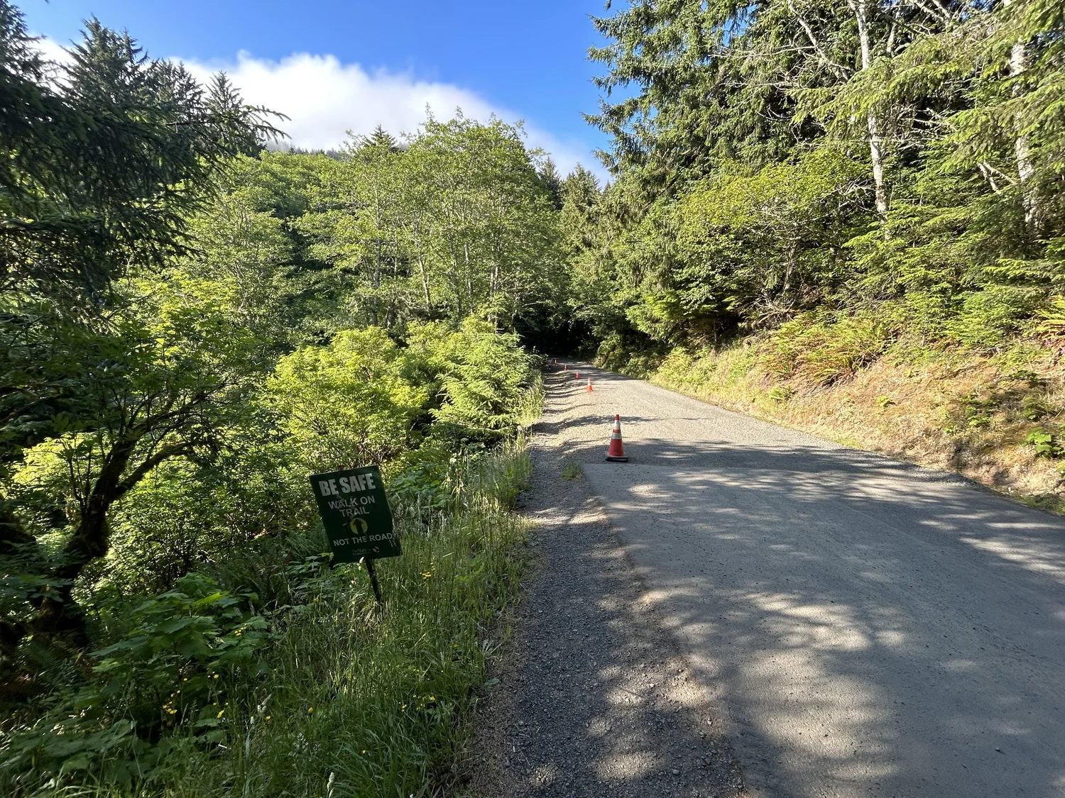 Hiking the Lower Cascade Head Trail on the Oregon Coast — noahawaii