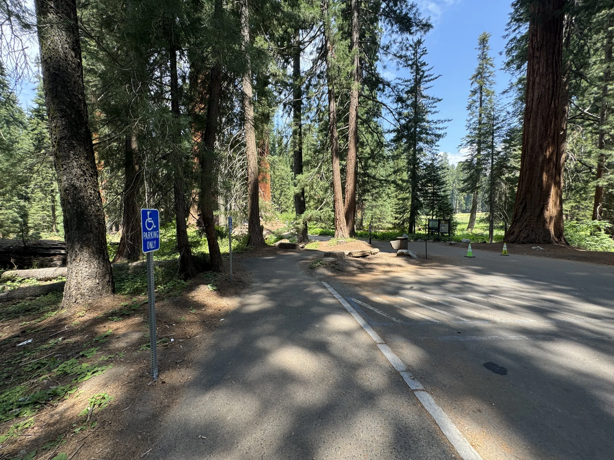 Hiking the Big Trees Trail in Sequoia National Park — noahawaii
