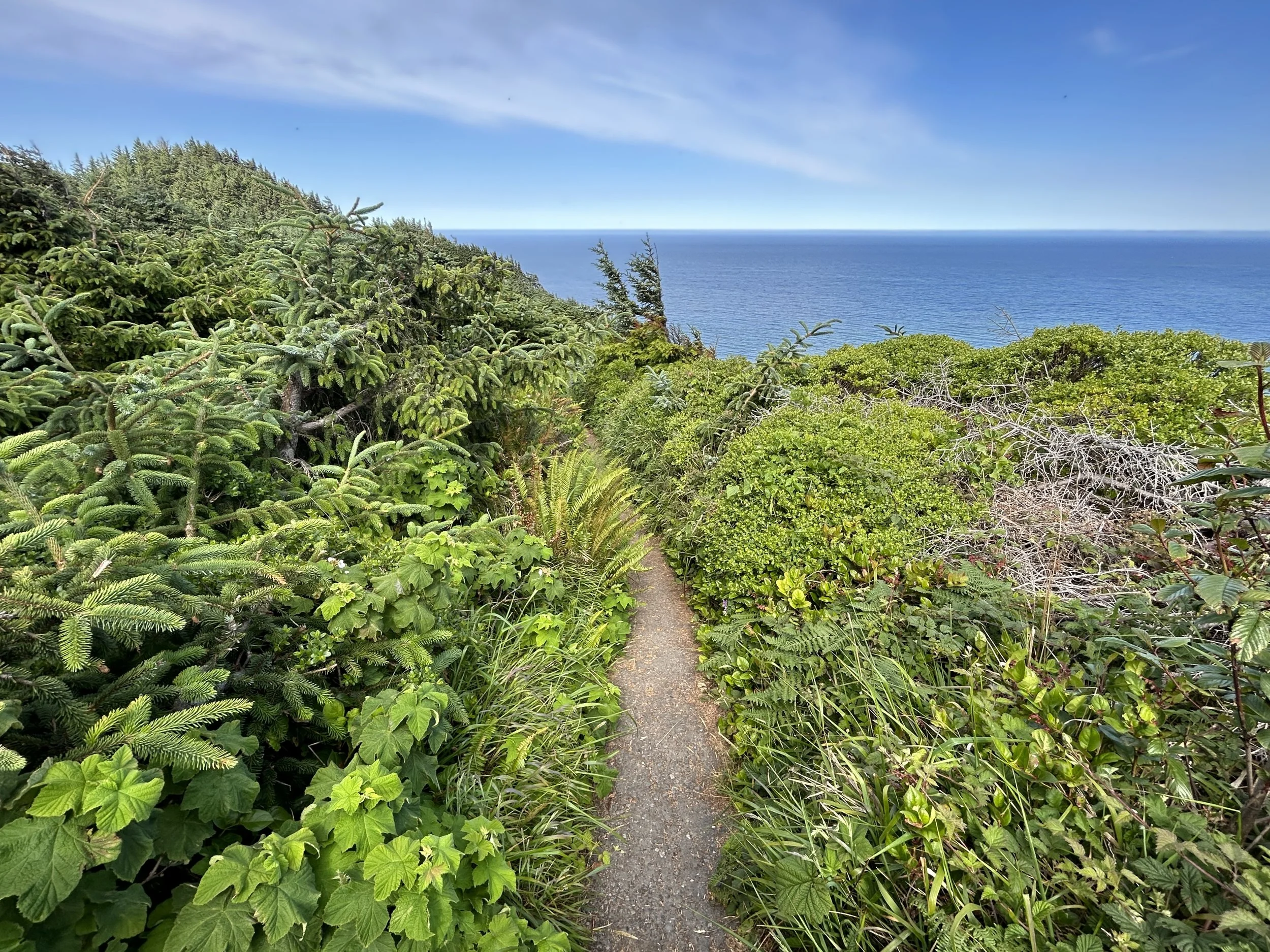 Hiking the Cape Sebastian Trail on the Oregon Coast — noahawaii
