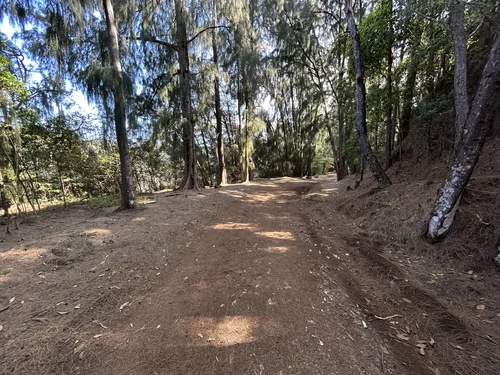 Hiking the Kaunala Loop Trail on Oʻahu’s North Shore — noahawaii