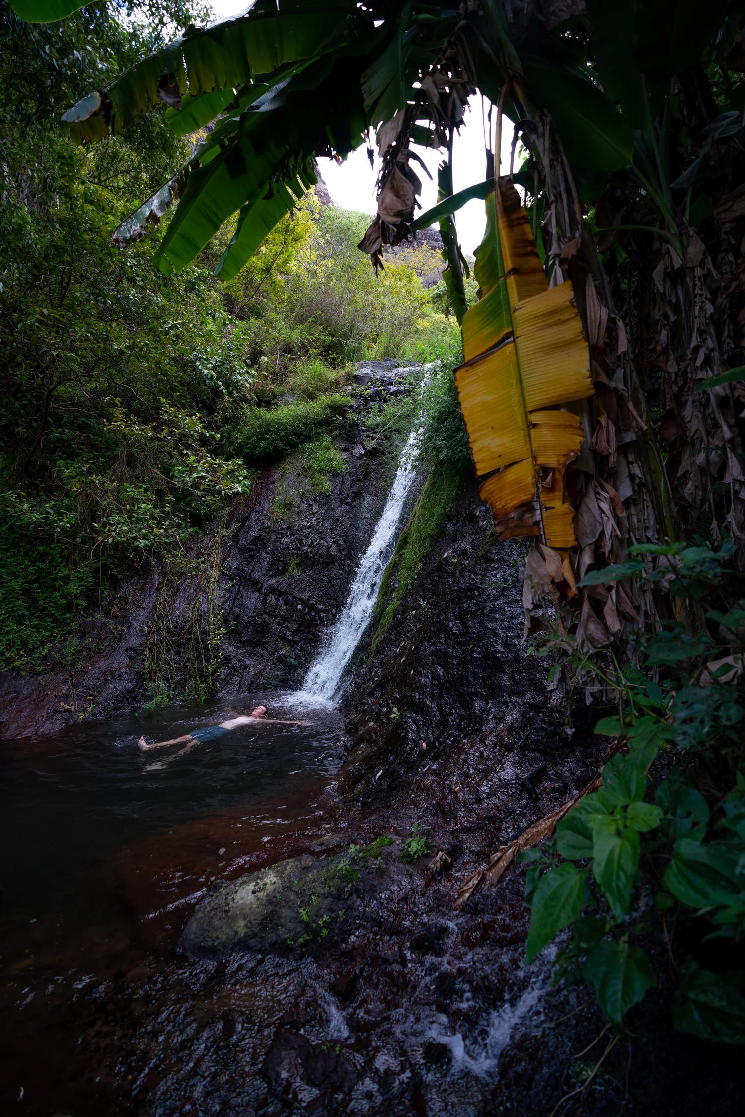 Hiking the Kukui Trail to the Lonomea Shelter on Kauaʻi — noahawaii