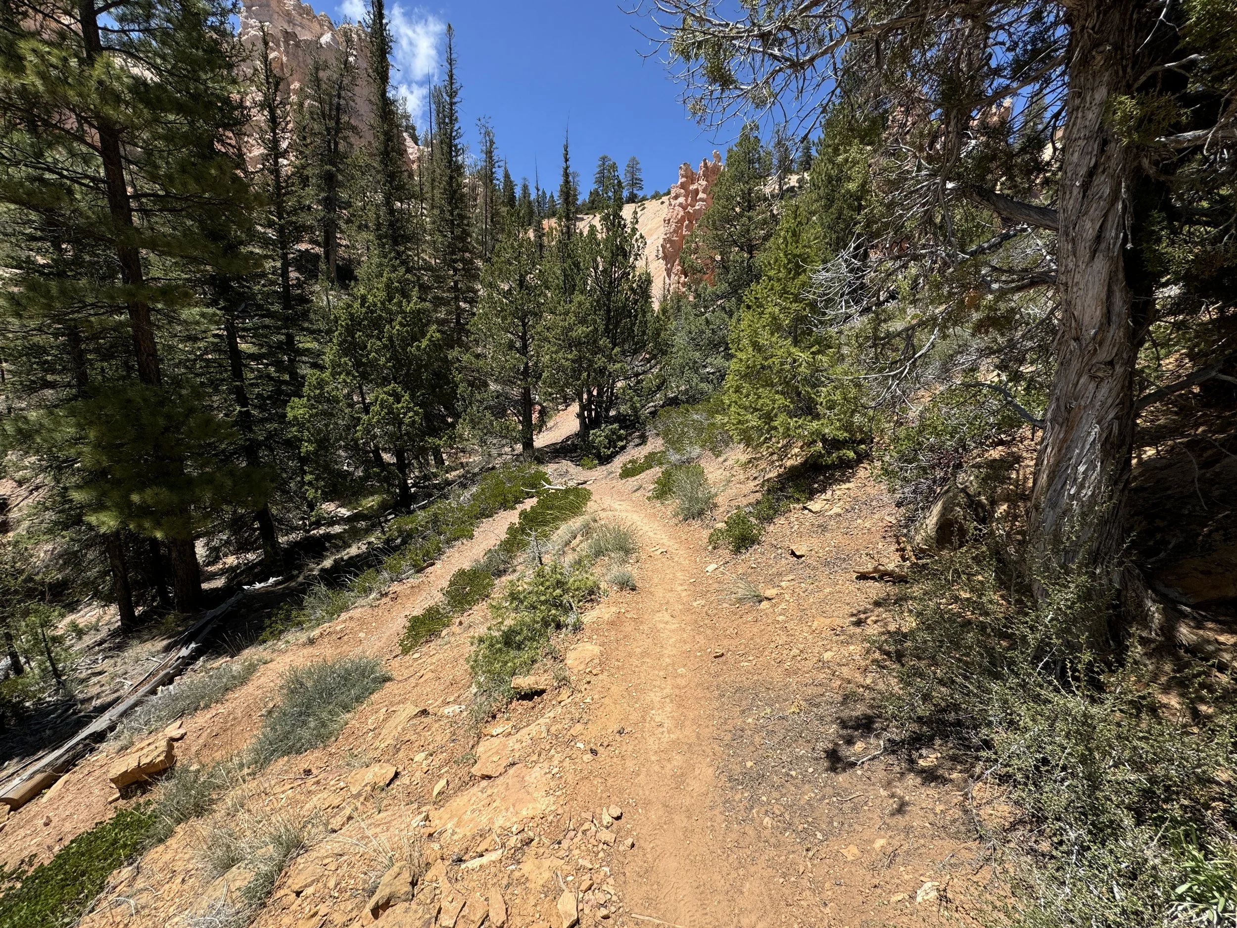 Hiking the Swamp Canyon Loop Trail in Bryce Canyon National Park ...