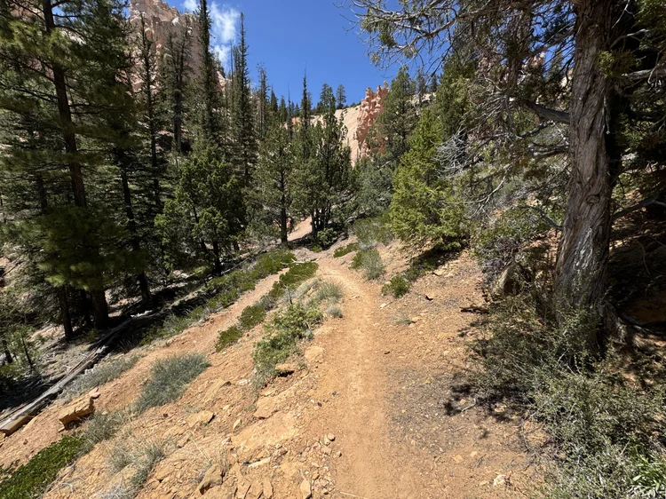 Hiking the Swamp Canyon Loop Trail in Bryce Canyon National Park ...