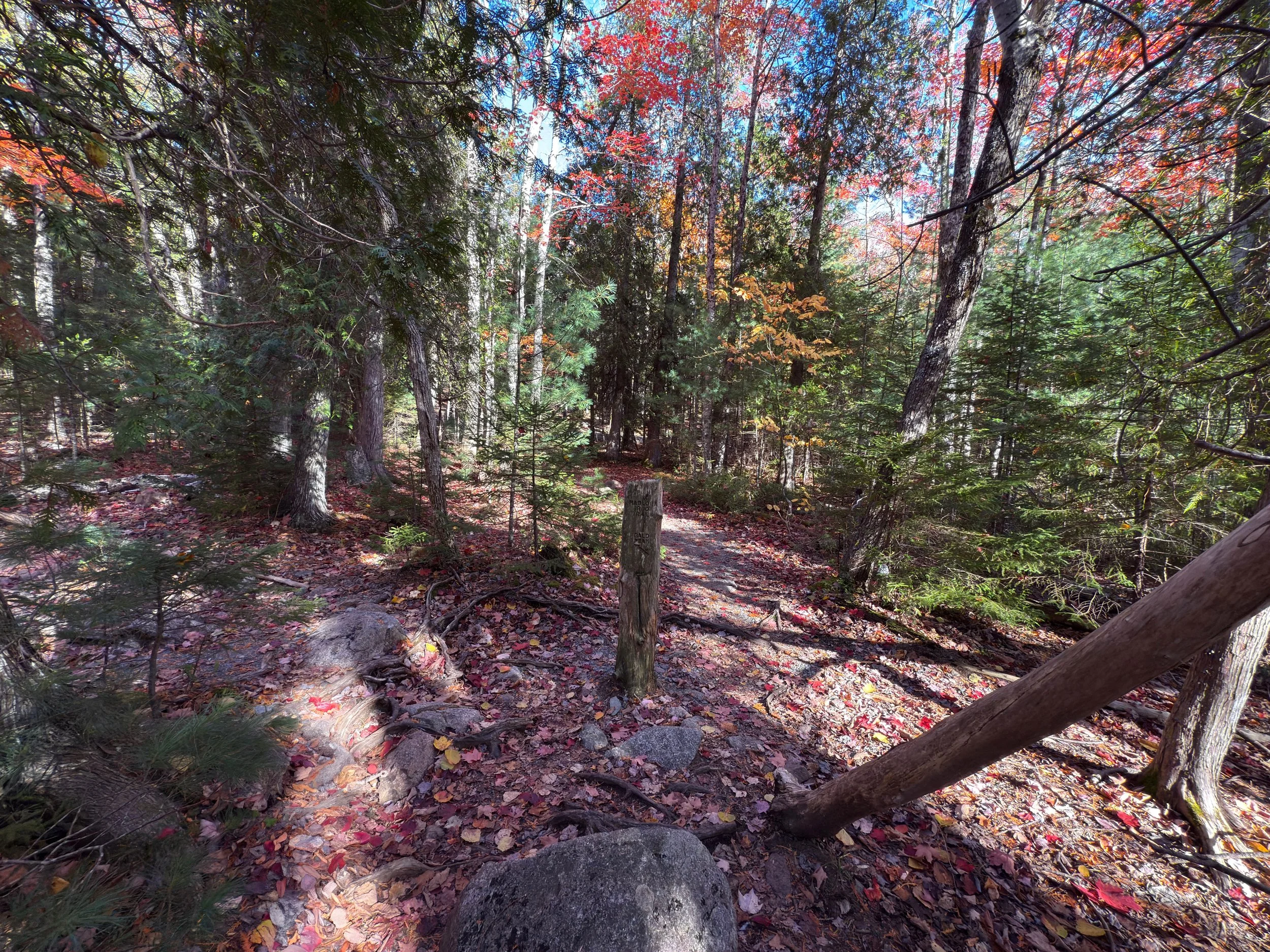 Hiking the Hadlock Ponds Loop Trail in Acadia National Park — noahawaii