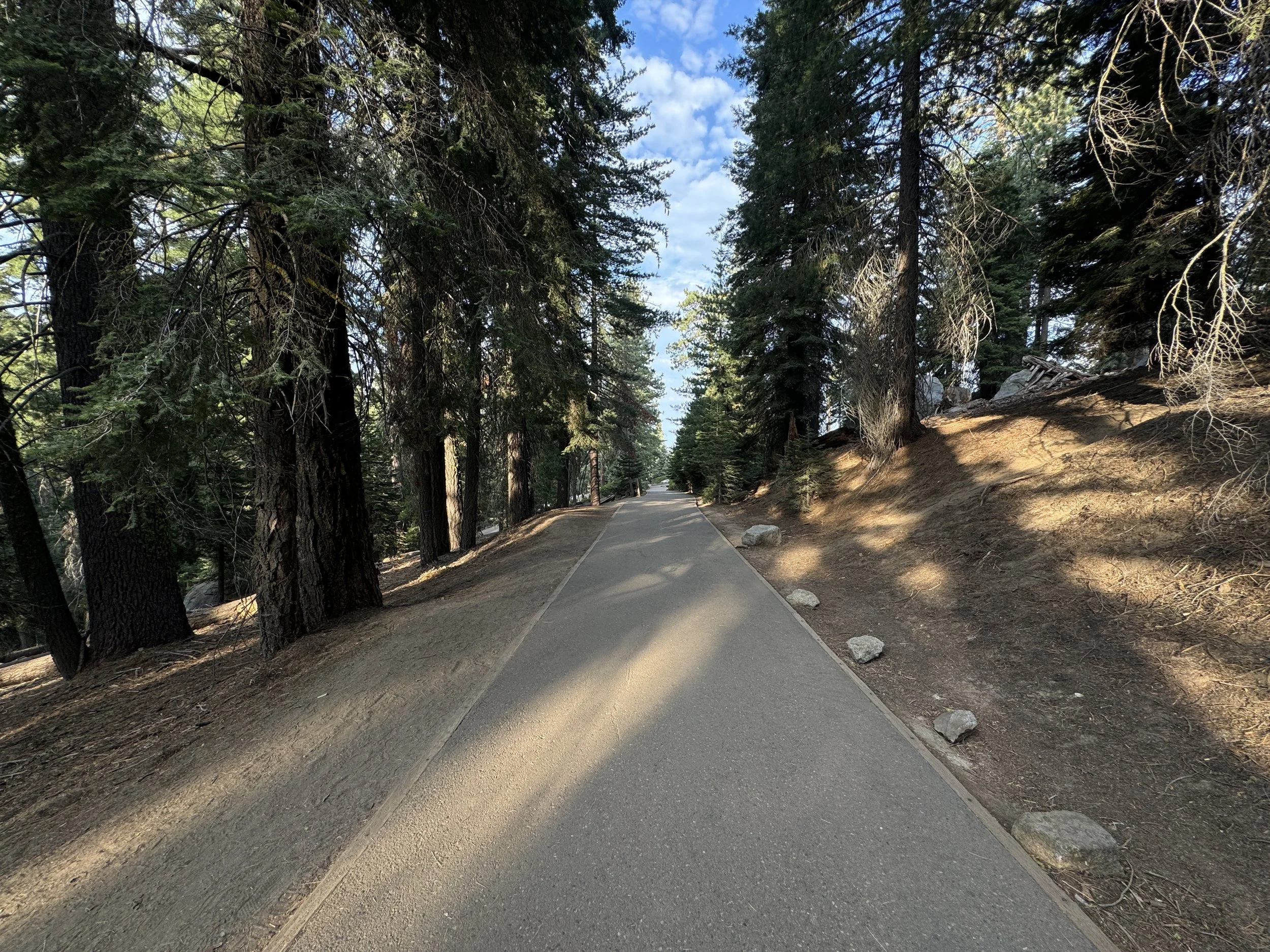 Hiking the General Sherman Tree Trail in Sequoia National Park — noahawaii