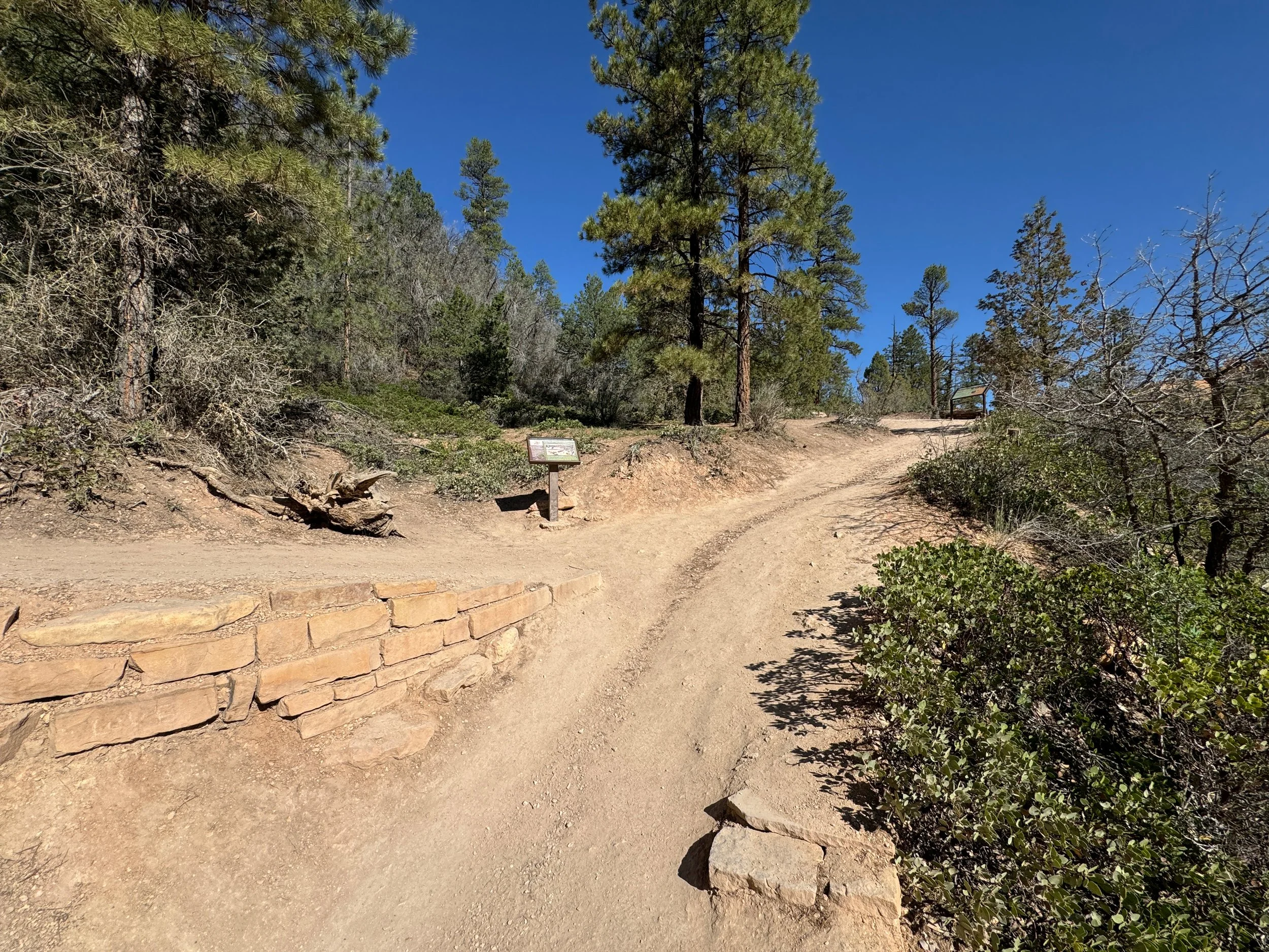 Hiking the Mossy Cave Trail in Bryce Canyon National Park — noahawaii