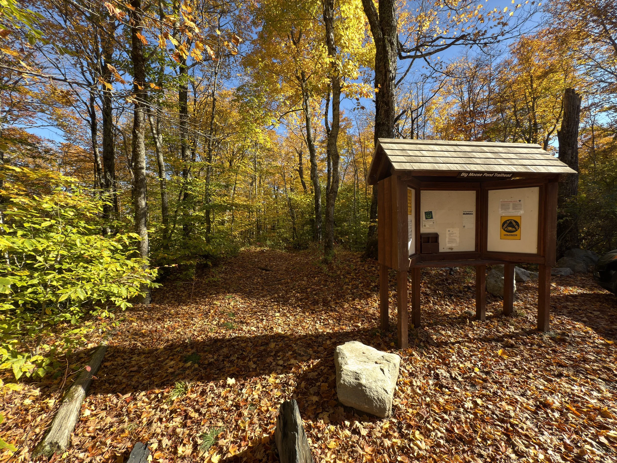 Hiking the Little Moose Pond Loop Trail in Greenville, Maine — noahawaii