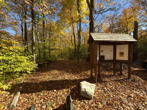 Hiking the Little Moose Pond Loop Trail in Greenville, Maine — noahawaii