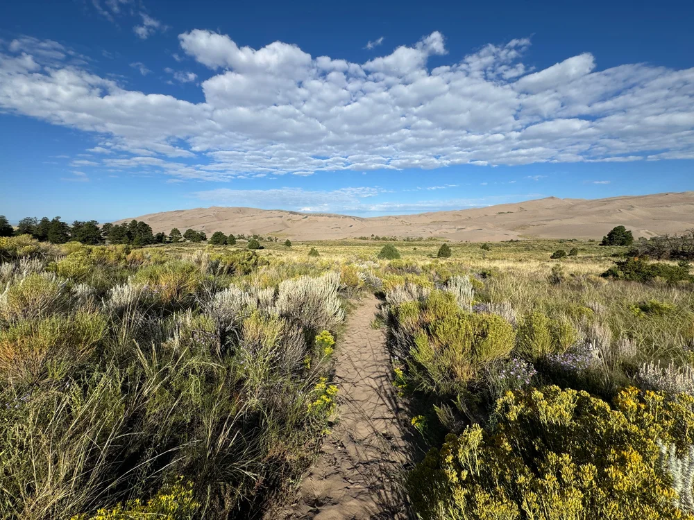 Hiking the Sand Pit Trail in Great Sand Dunes National Park — noahawaii