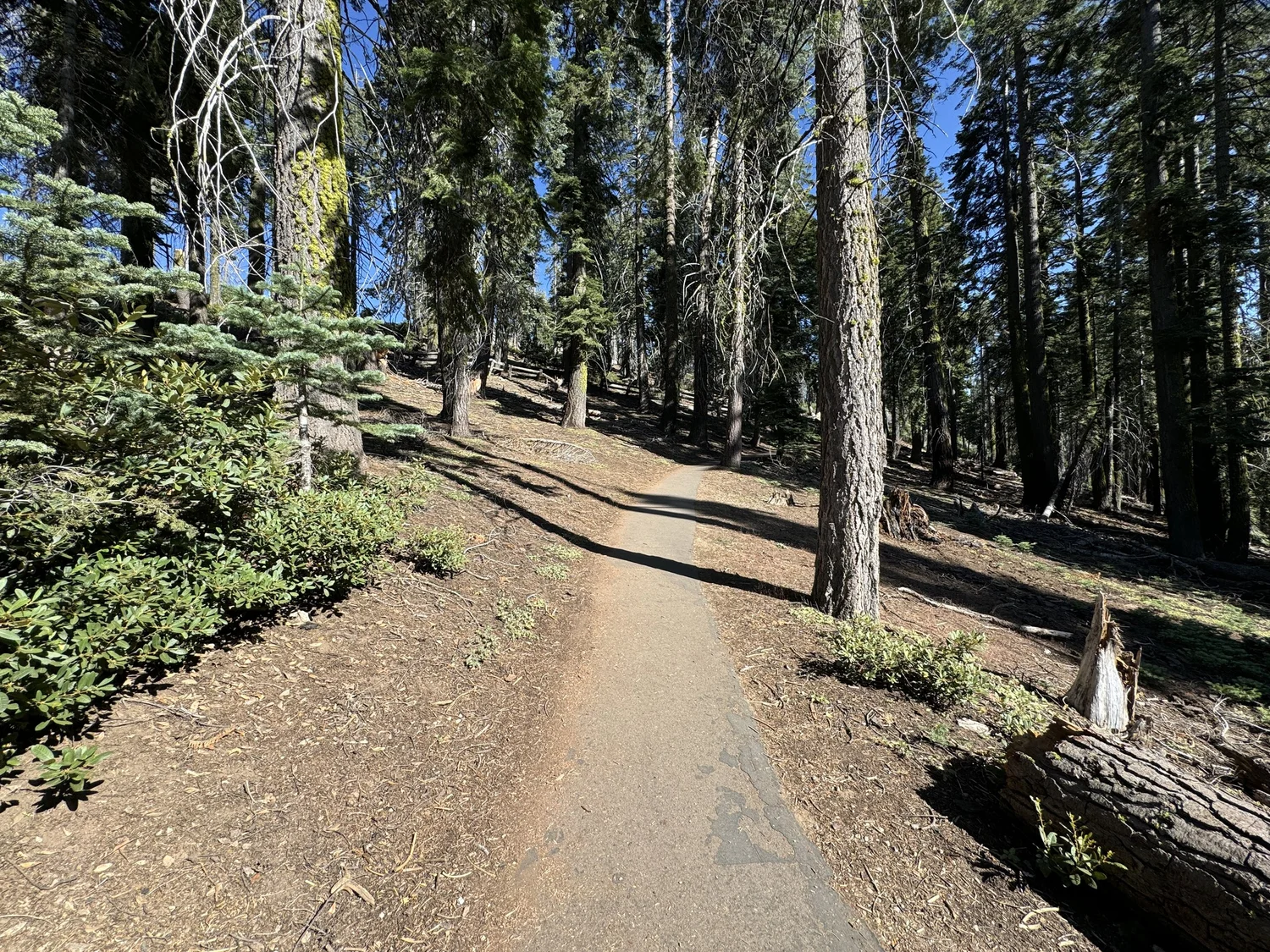 Hiking the Park Ridge Trail in Kings Canyon National Park — noahawaii