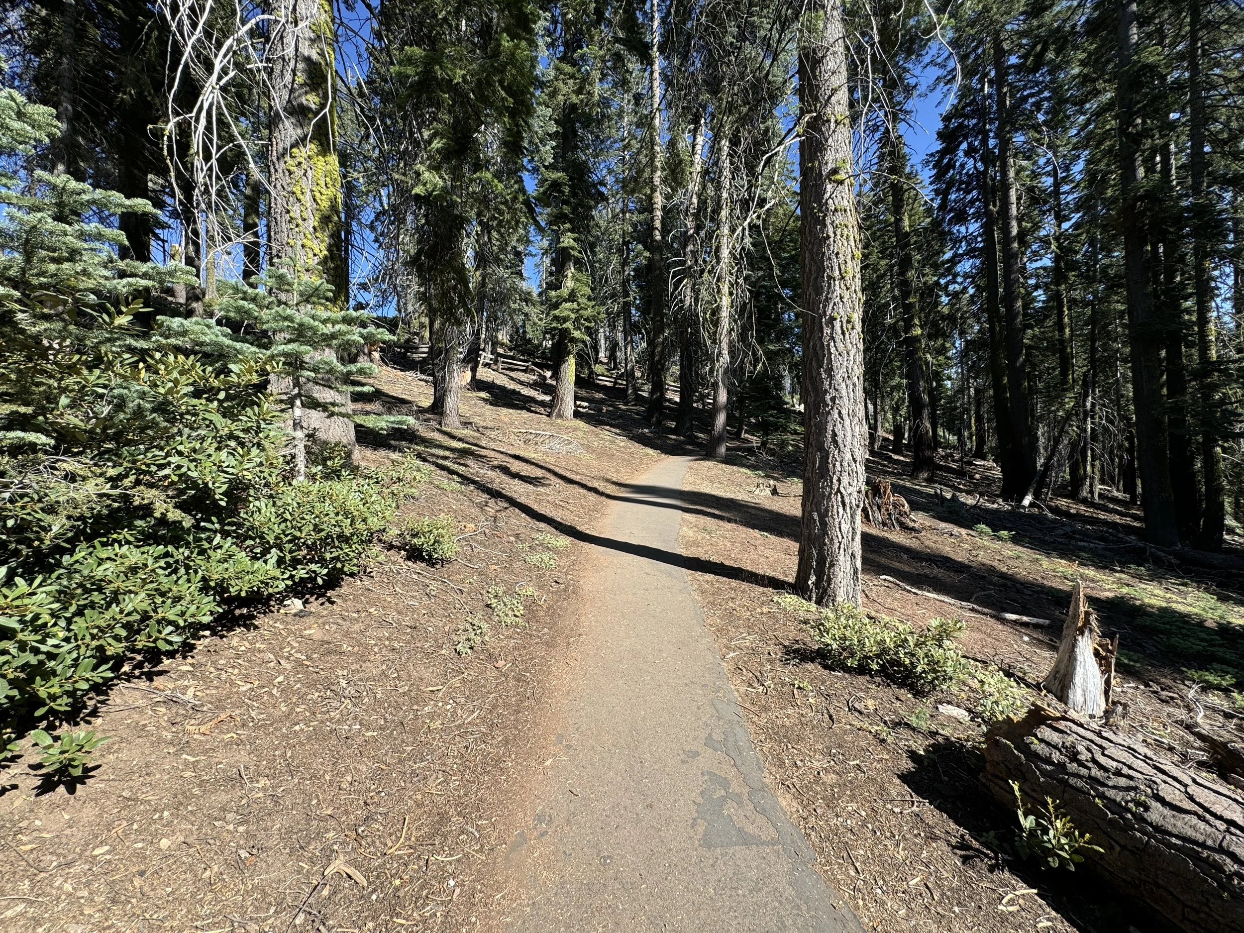 Hiking the Park Ridge Trail in Kings Canyon National Park — noahawaii